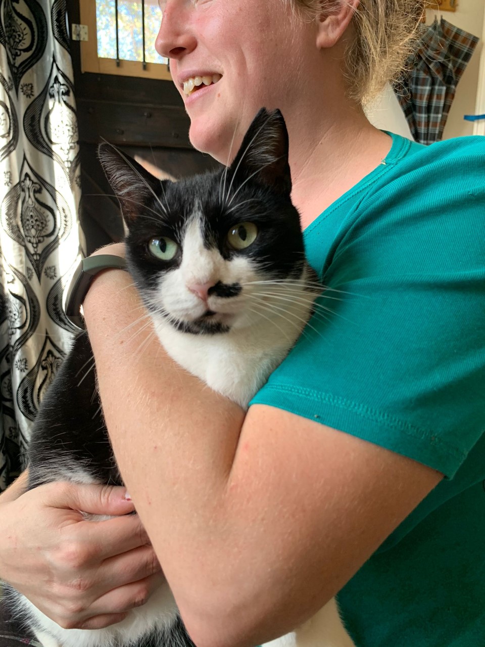 Cats 5 years and upwards